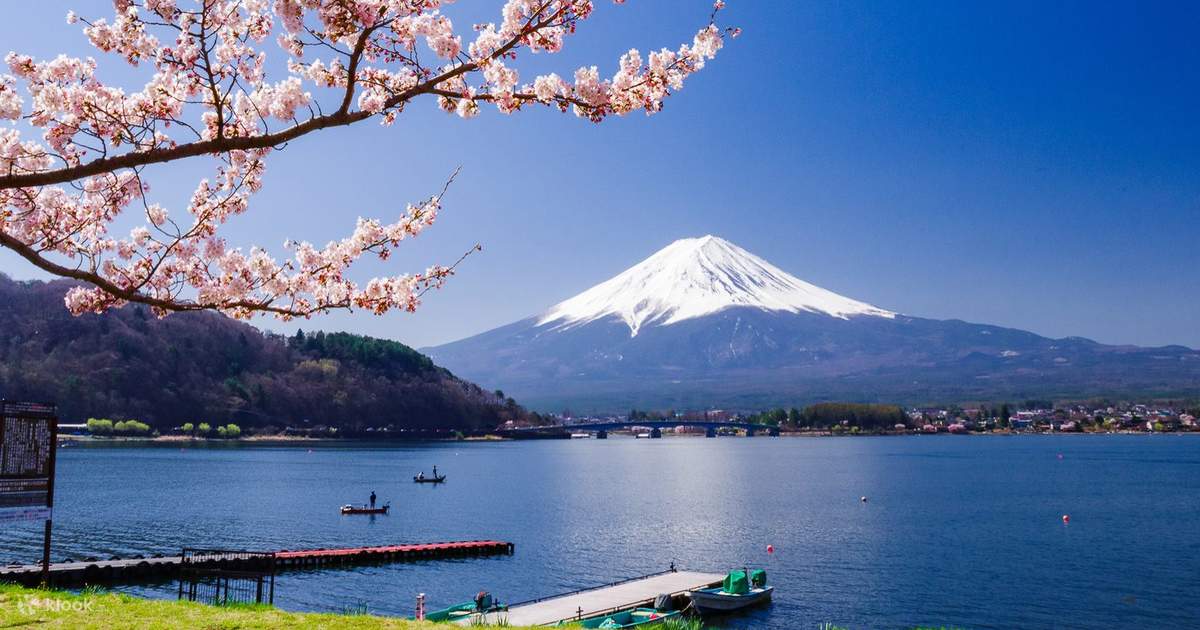 [Sakura season only] Online reservation for one-day cherry blossom ...